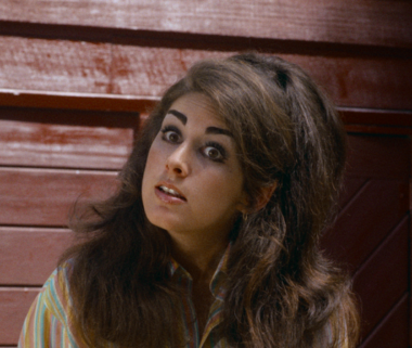 Erica Gavin – The Official Website